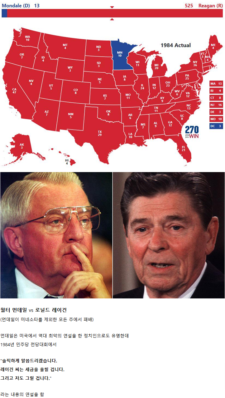 압도적인 승리로 유명한 1984년 미국 대선 - 개9